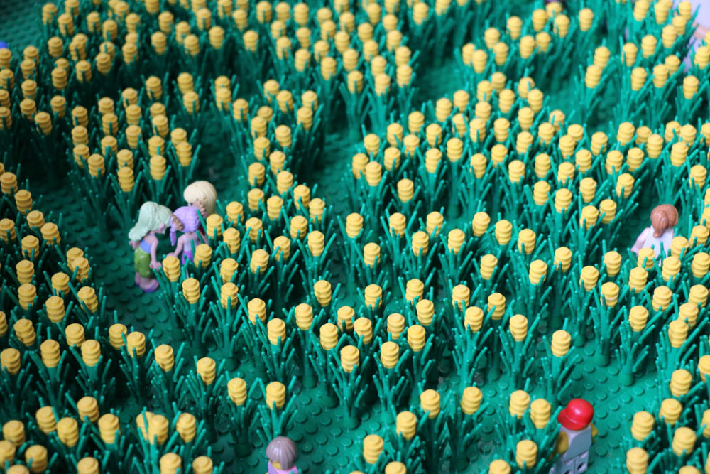 Riesiges LEGO Maislabyrinth - zusammengebaut