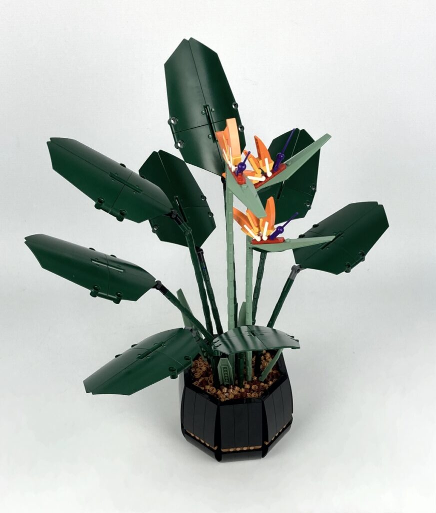 LEGO 10289 Paradiesvogelblume im Review - zusammengebaut