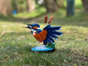 LEGO hat doch einen Vogel! Icons 10331 Eisvogel im Review - zusammengebaut