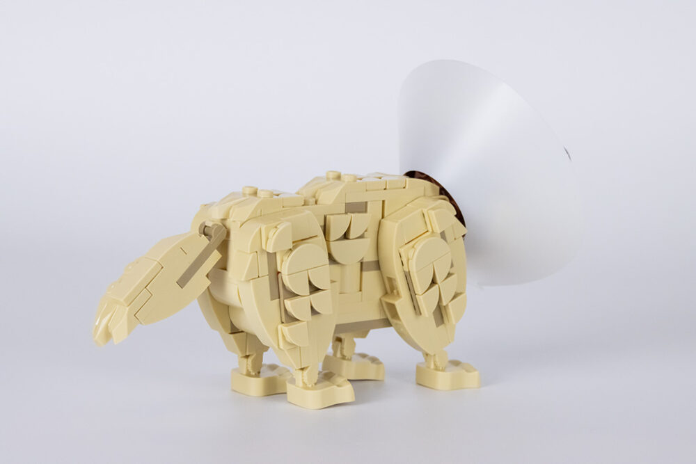LEGO hat einen Vogel: Disney 43290 Kevin und Dug im Review - zusammengebaut